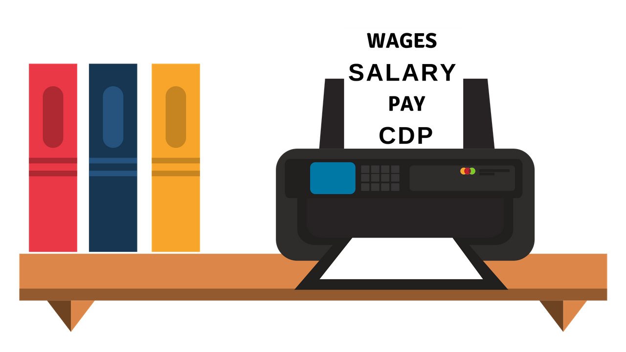 12. What is the real meaning of wages, salary, pay and CDP Payments ...
