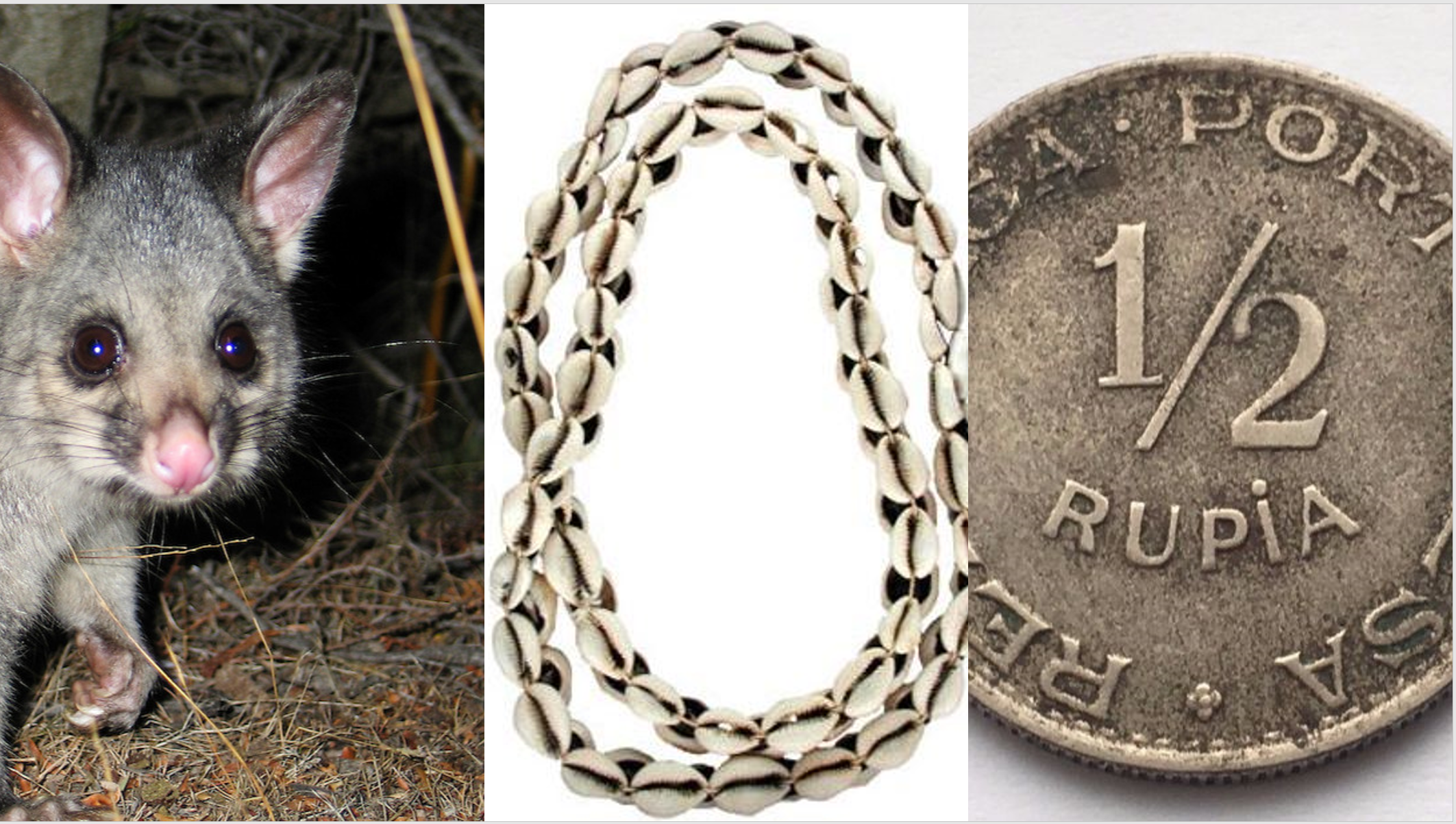 History of Money. Where did money come from? Story No. 8 - Djambatjmarram